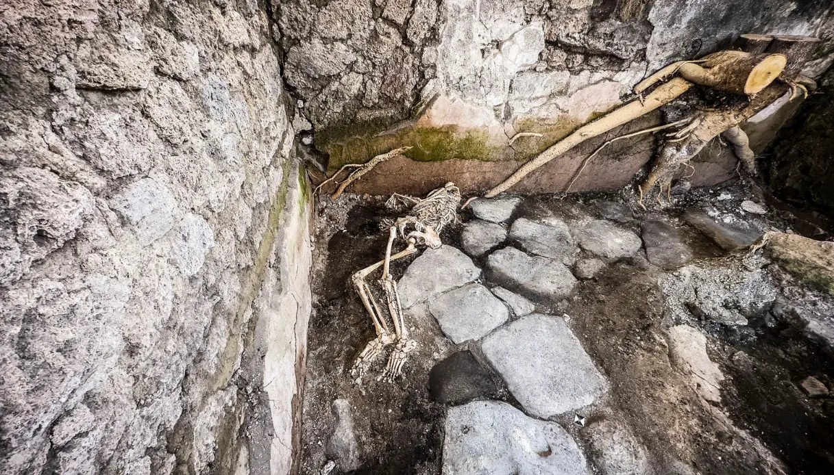 Scavi di Pompei, scoperti tre scheletri in un panificio